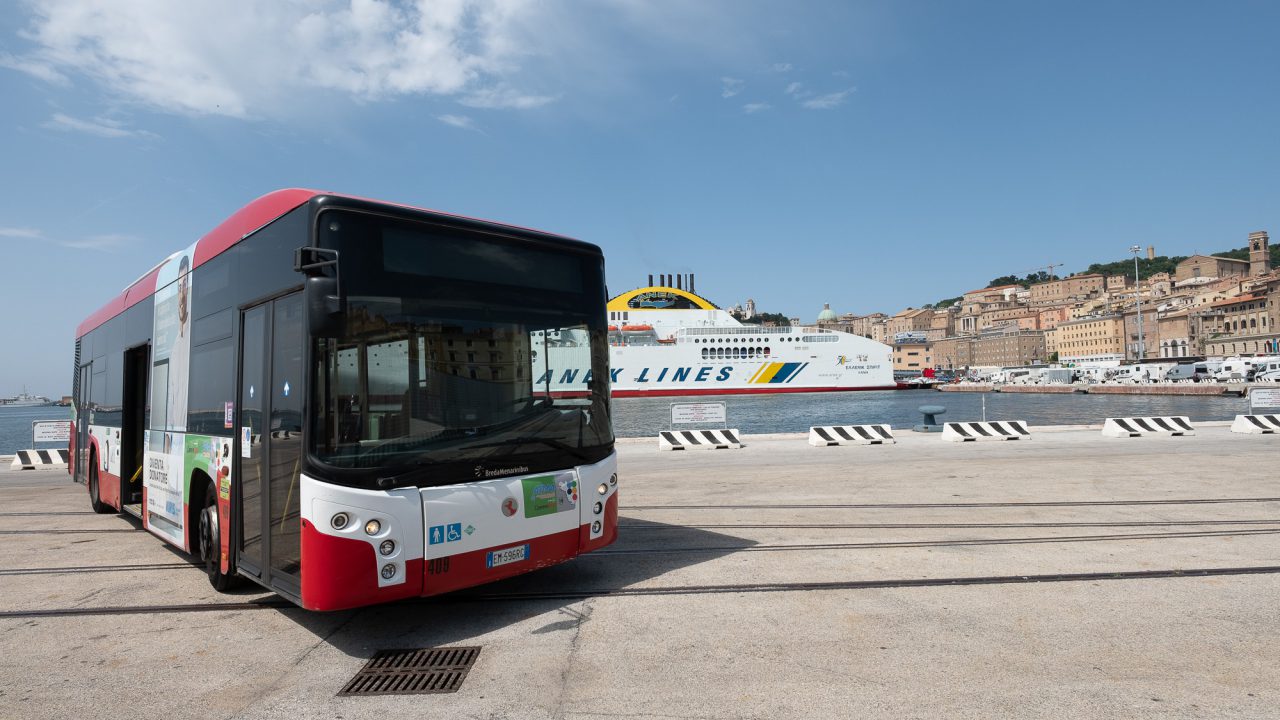 Conerobus assume conducenti d'autobus. Aperta la selezione | AUTOBUS ...