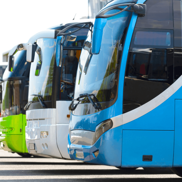 Trasporti, bus turismo -33% rispetto pre-pandemia. Lo studio Polimi ...