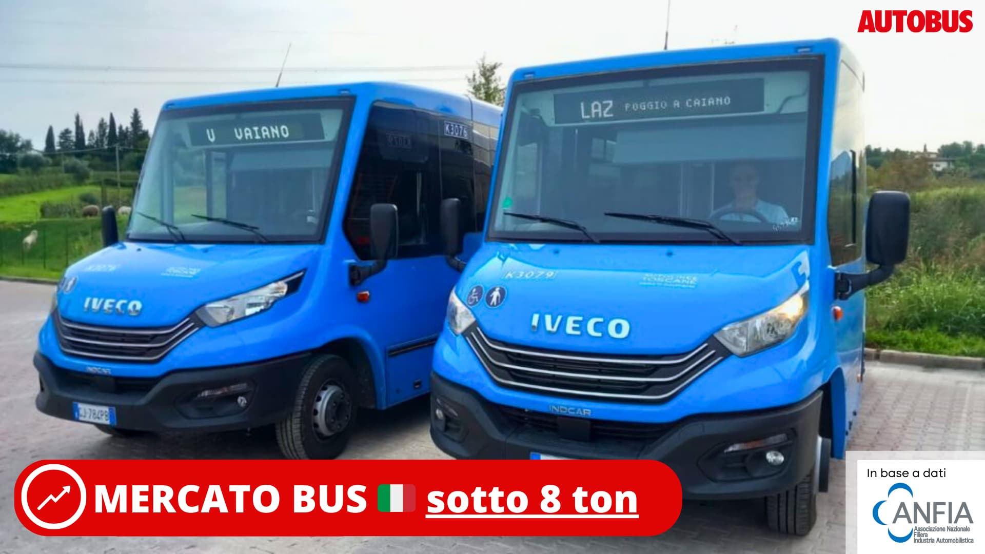 Mercato minibus Italia 2024: 1.719 immatricolazioni, il 9% elettriche